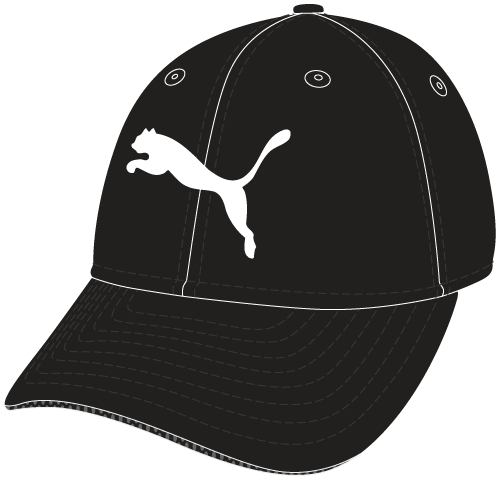 Caps Puma Essentials Cap Black/ Big Cat (5291901) | Footshop