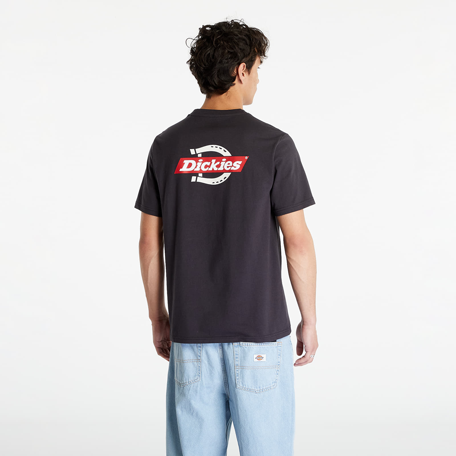 Dickies Short Sleeve Ruston Tee